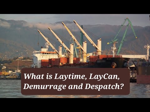 What do the terms Laytime, LayCan, Demurrage, and Despatch mean in the maritime shipping industry?
