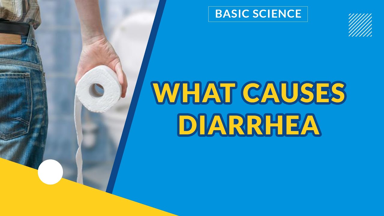 PERISHABLE, SEMI PERISHABLE AND NON PERISHABLE FOODS | BASIC SCIENCE | EXAMGUIDE