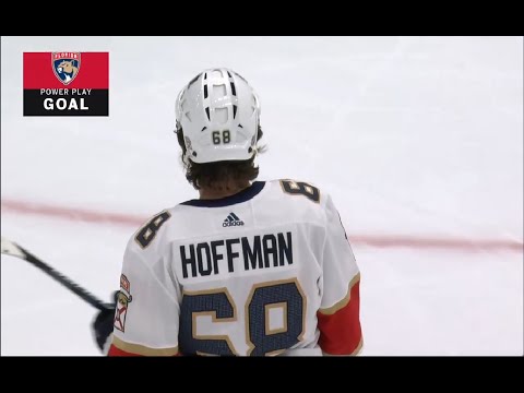 Mike Hoffman All 29 Goals 2019-2020 NHL Season