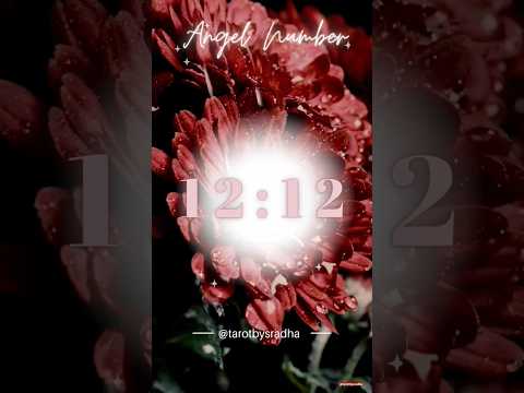 1212 angel number #1212 #1212portal #1111 #1212angelnumber