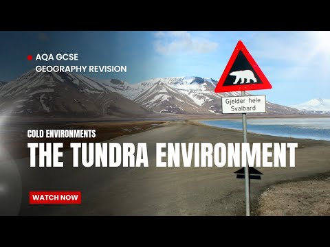 AQA Geography Characteristics of the Tundra cold environment