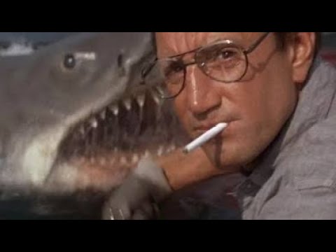 Jaws - 4th of July Special #jaws #johnwilliams #spielberg
