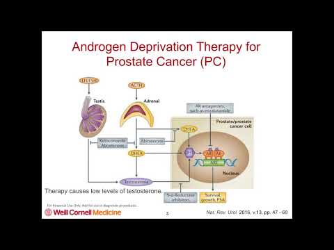 Liquid Chromatography Tandem Mass Spectrometry Research into