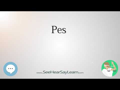 Pes (Medical Latin Terminology & Definitions) 🤸♀️📜🧠👩🎓👍🔊