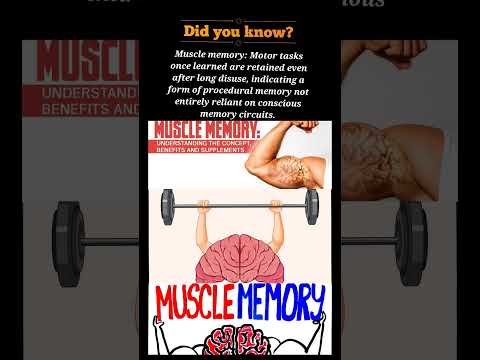 Muscle Memory Explained | How Your Body Remembers Even After a Long Break!