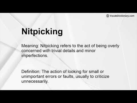 Nitpicking Meaning