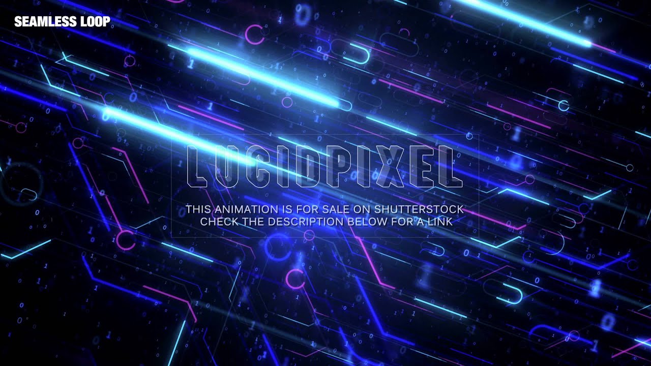 Animation Loop: Binary Data Network