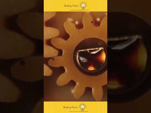 The Science of Gears in 60 Seconds