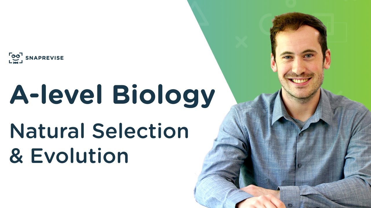 Natural Selection & Evolution | A-level Biology | OCR, AQA, Edexcel