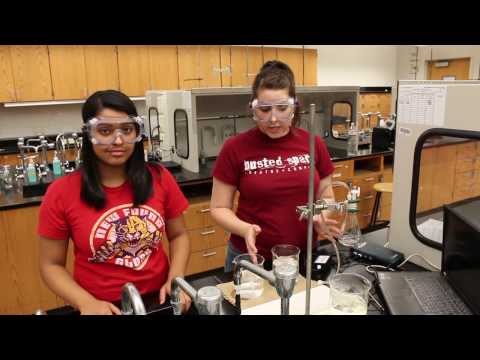 Lab 3 - Gas Laws - 101