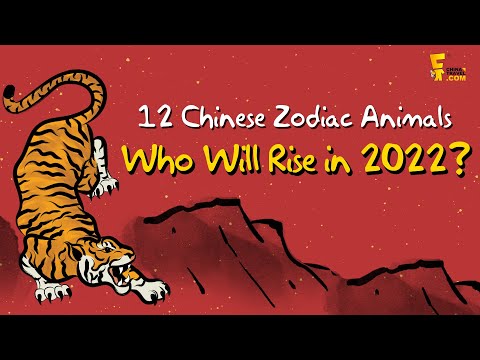 Chinese Zodiac Horoscope  2022 | 12 Chinese Zodiac Animals Forecast in the Year of the Tiger