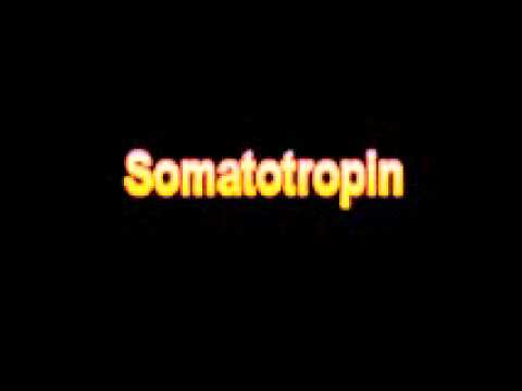 What Is The Definition Of Somatotropin Medical School Terminology Dictionary