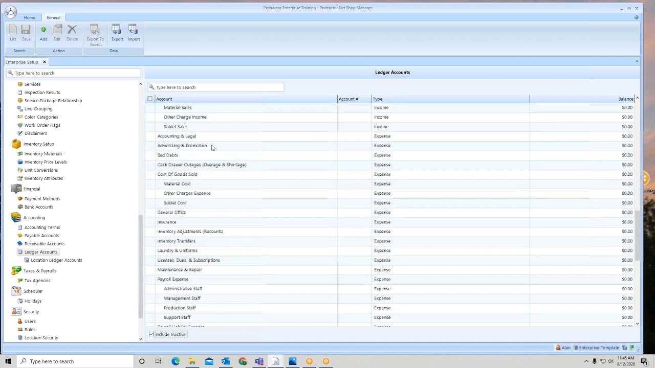 Enterprise - Ledger Accounts