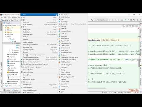 Learn Cloud Native App Develop with Java EE Use Java EE Security APIs|packtpub com - Mind Luster