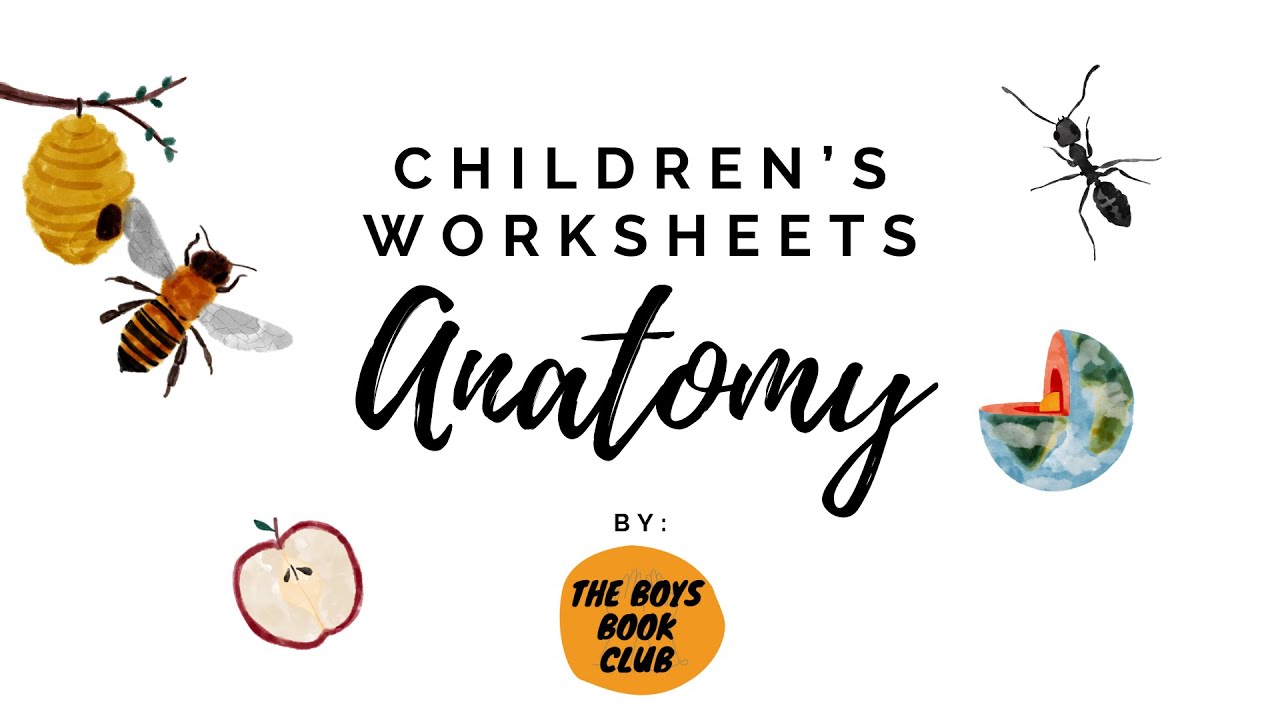 Anatomy Worksheets for Children (FREE DOWNLOAD)