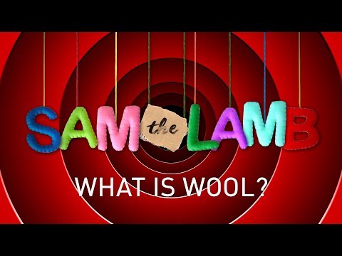 Sam the Lamb — What is wool?
