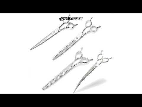 Chris Christensen Classic Series Grooming Shears Review: Are They Worth the Investment?
