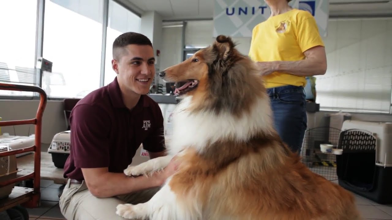 Reveille Nearly Took a Snip at a Girl | Candy 95 | Aggieland’s Only Hit ...