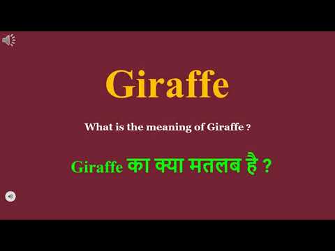 Giraffe meaning in Hindi | Giraffe ka kya matlab hota hai | daily use English words