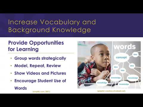 Vocab & Background Knowledge