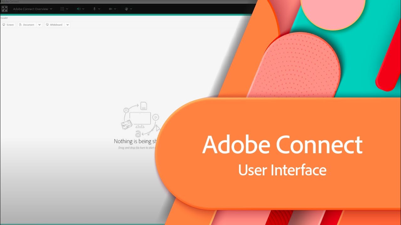 Adobe Connect User Interface