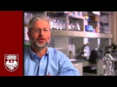 Discovery at the University of Chicago Medical Center