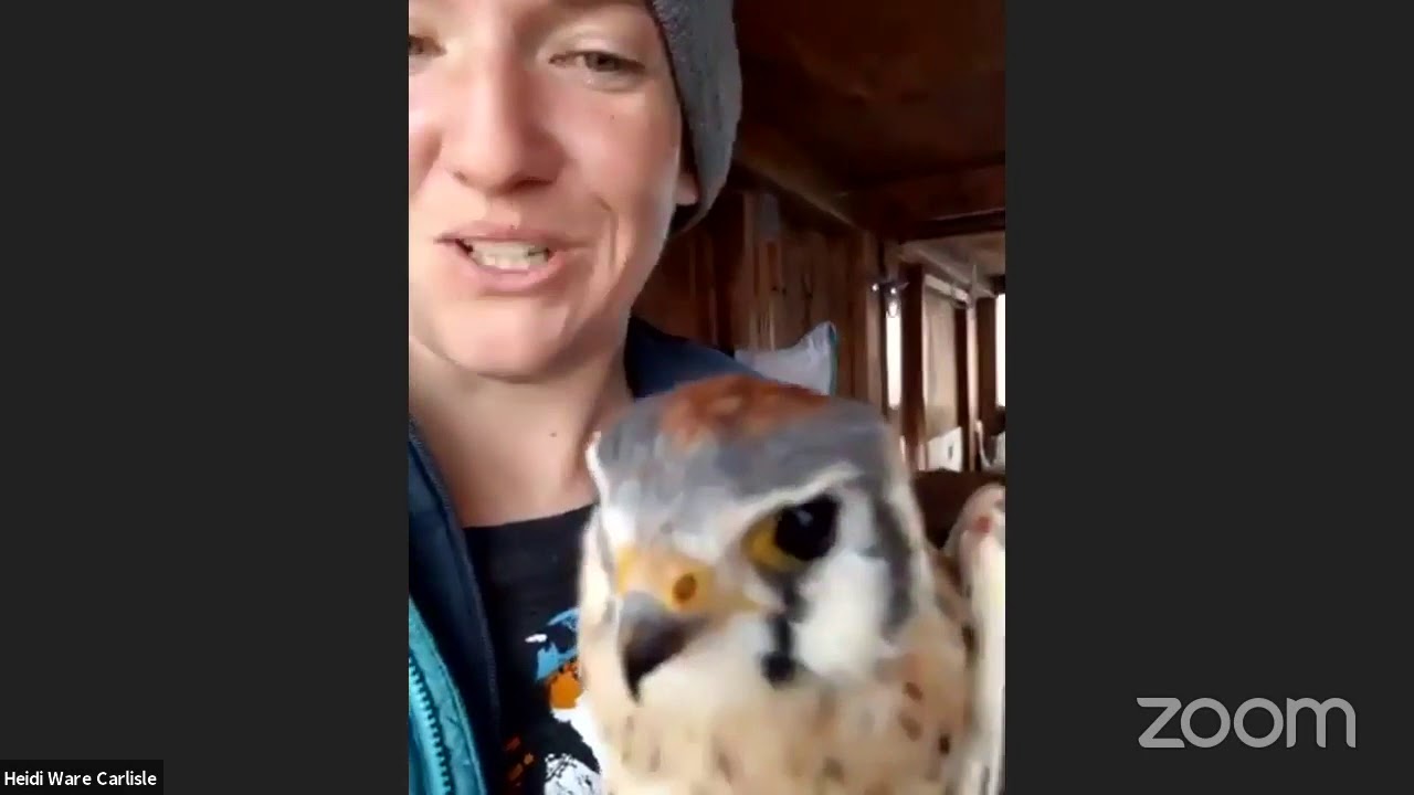 Lucky Peak Research Station | Raptor Banding