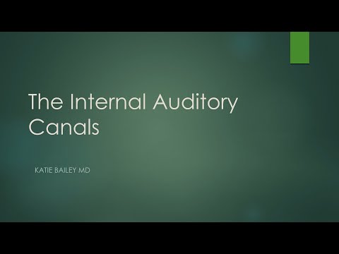 Imaging the Internal Auditory Canals