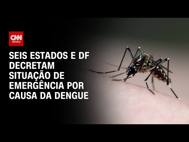 Pelo menos 6 estados e o Distrito Federal decretaram emergência para dengue | CNN Brasil
