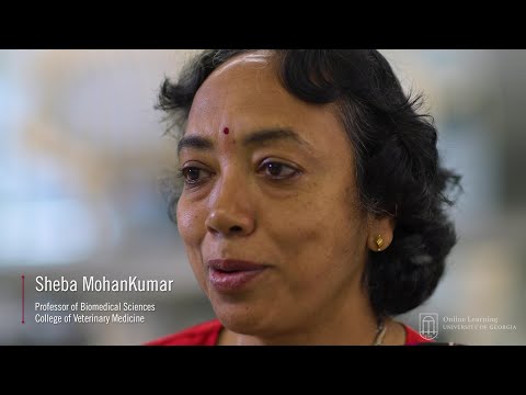 Master's in Comparative Biomedical Sciences Online Program (60sec)