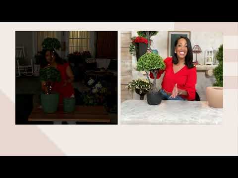 Garden Reflections Lit 2-tier Faux Bonsai Topiary in Pot on QVC