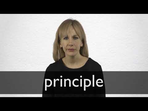 How to pronounce PRINCIPLE in British English