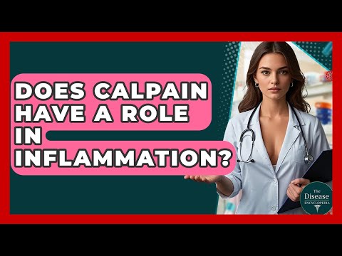Does Calpain Have A Role In Inflammation? - The Disease Encyclopedia