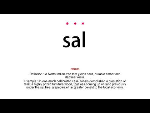 How to pronounce sal - Vocab Today