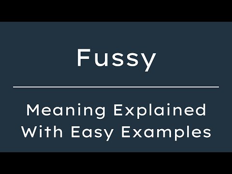 What Does Fussy Mean? Fussy Meaning in English With 5 Example Sentences