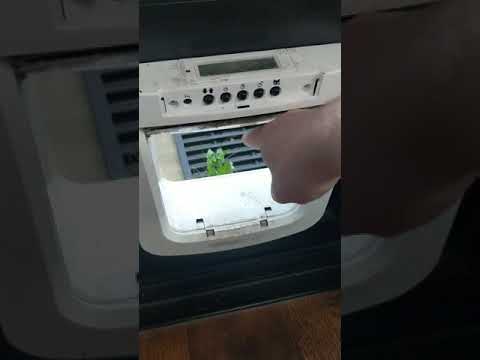 catflap training