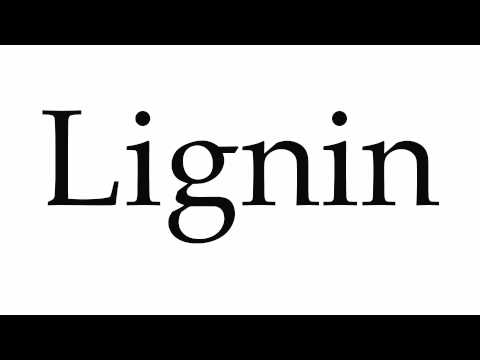 How to Pronounce Lignin