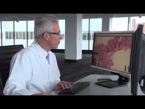Digitizing Pathology - Huron Digital Pathology