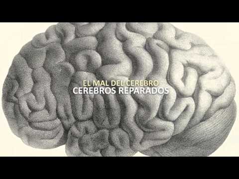 El Mal del Cerebro | Ciencia Al Dia