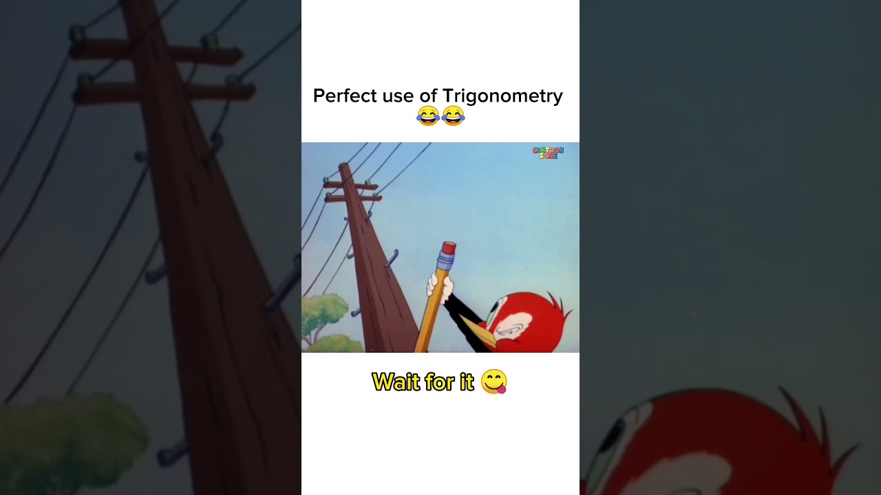 Perfect Application of Trigonometry | Tom & Jerry