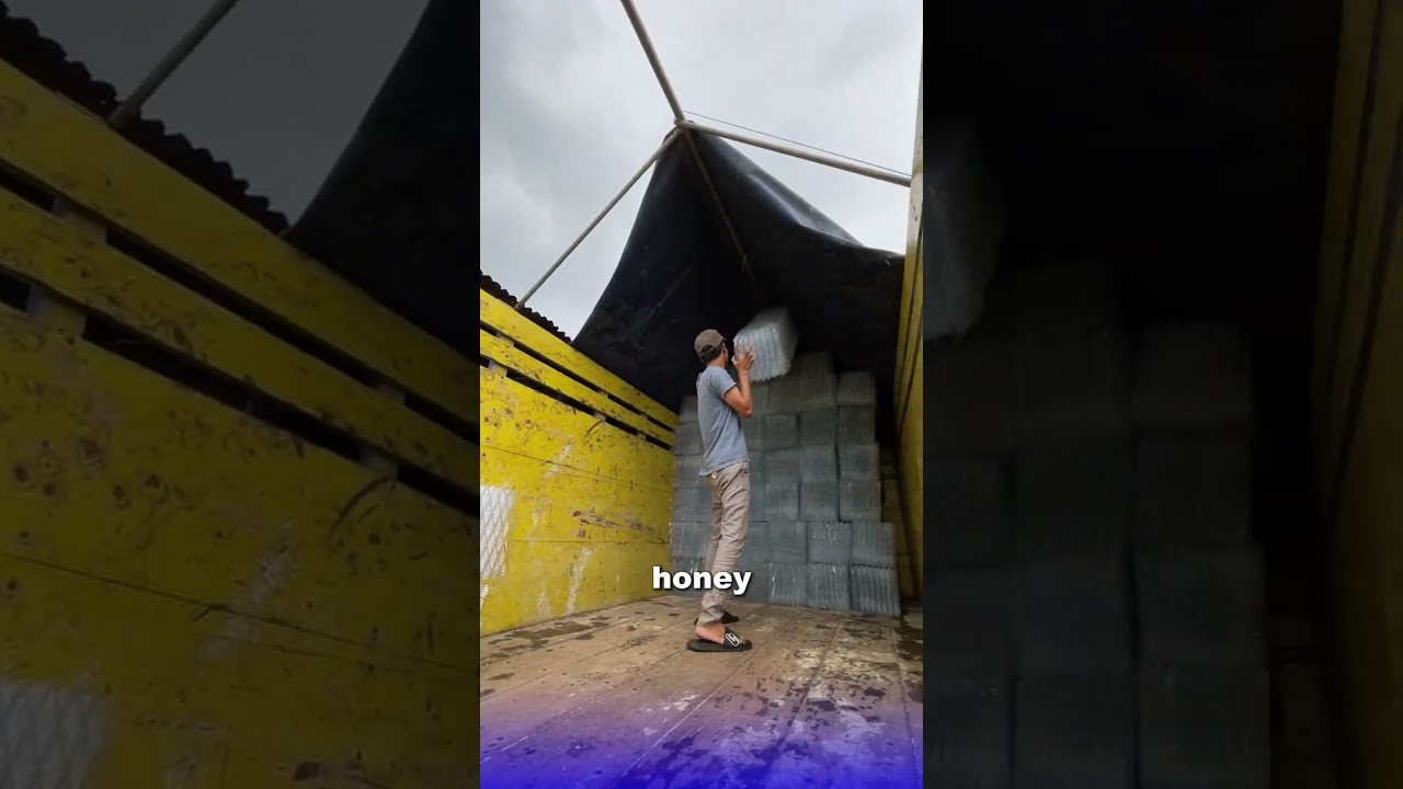 50 m³ Honeycomb Media Ready to Ship! Projects in Full Swing #honeycomb