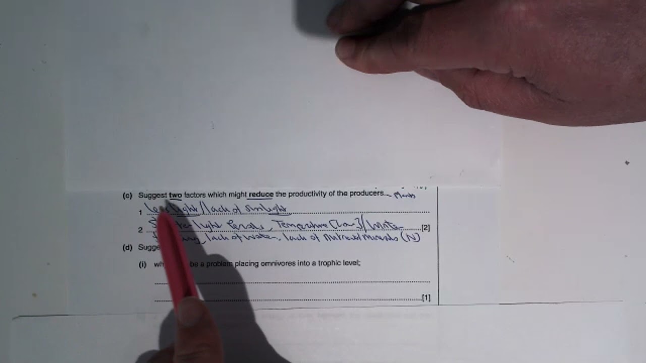 Omnivores Trophic level