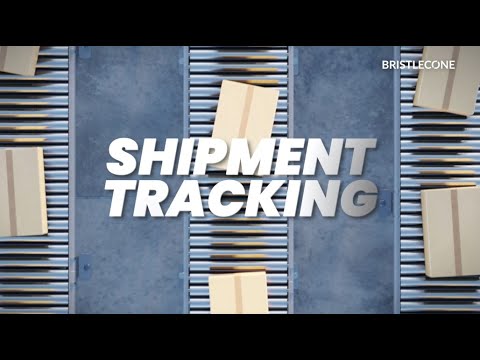 Track and Monitor Shipments in Transit with TrackWell