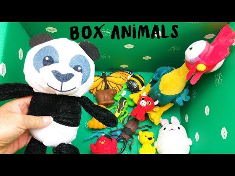 BEAR BOX Full of Animals that Start with the Letter B by Puggy Pineapple
