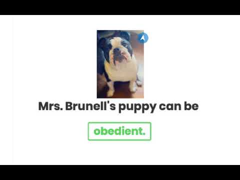 Reading Week 5: Prefixes And Suffixes