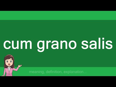cum grano salis