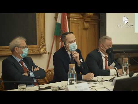 Impact of digital platforms and social media on freedom of expression and pluralism (12/6)