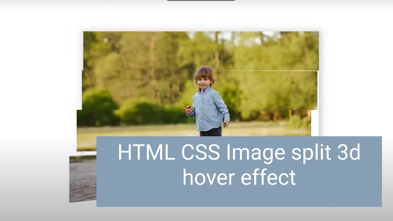 HTML CSS Image split 3d hover effect