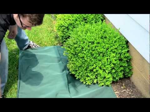 Trim Bib Tarp for Hedge and Shrub Trimming