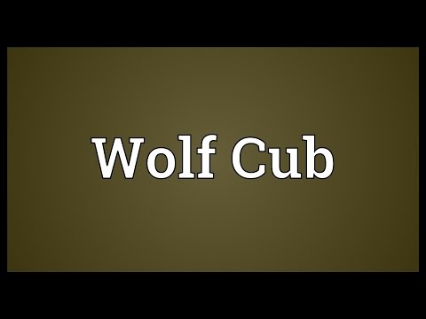Wolf Cub Meaning